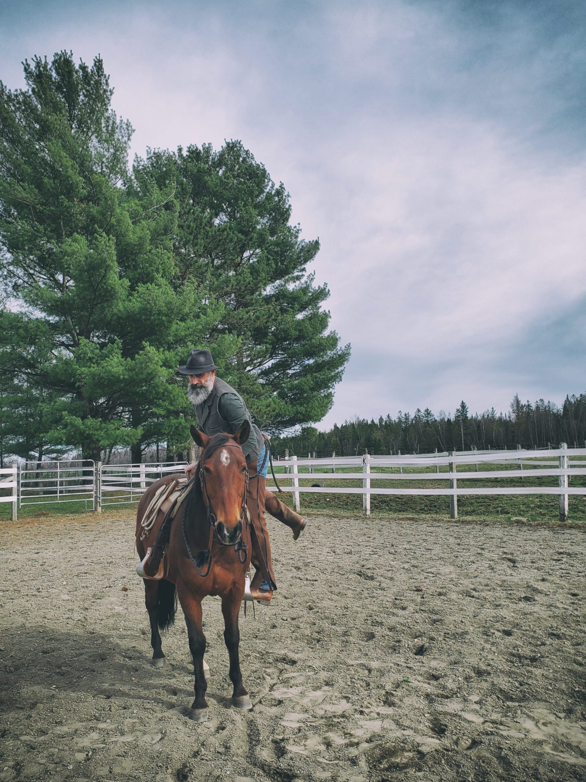 How To Mount A Horse? | Natural Horsemanship
