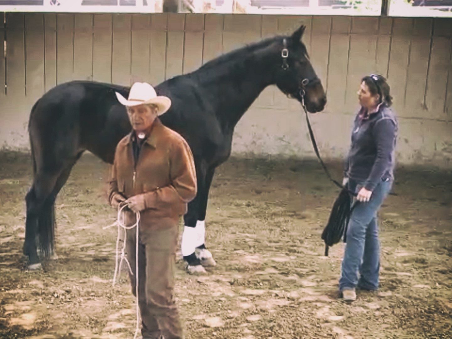 Is Monty Roberts A Horse Whisperer? | Natural Horsemanship