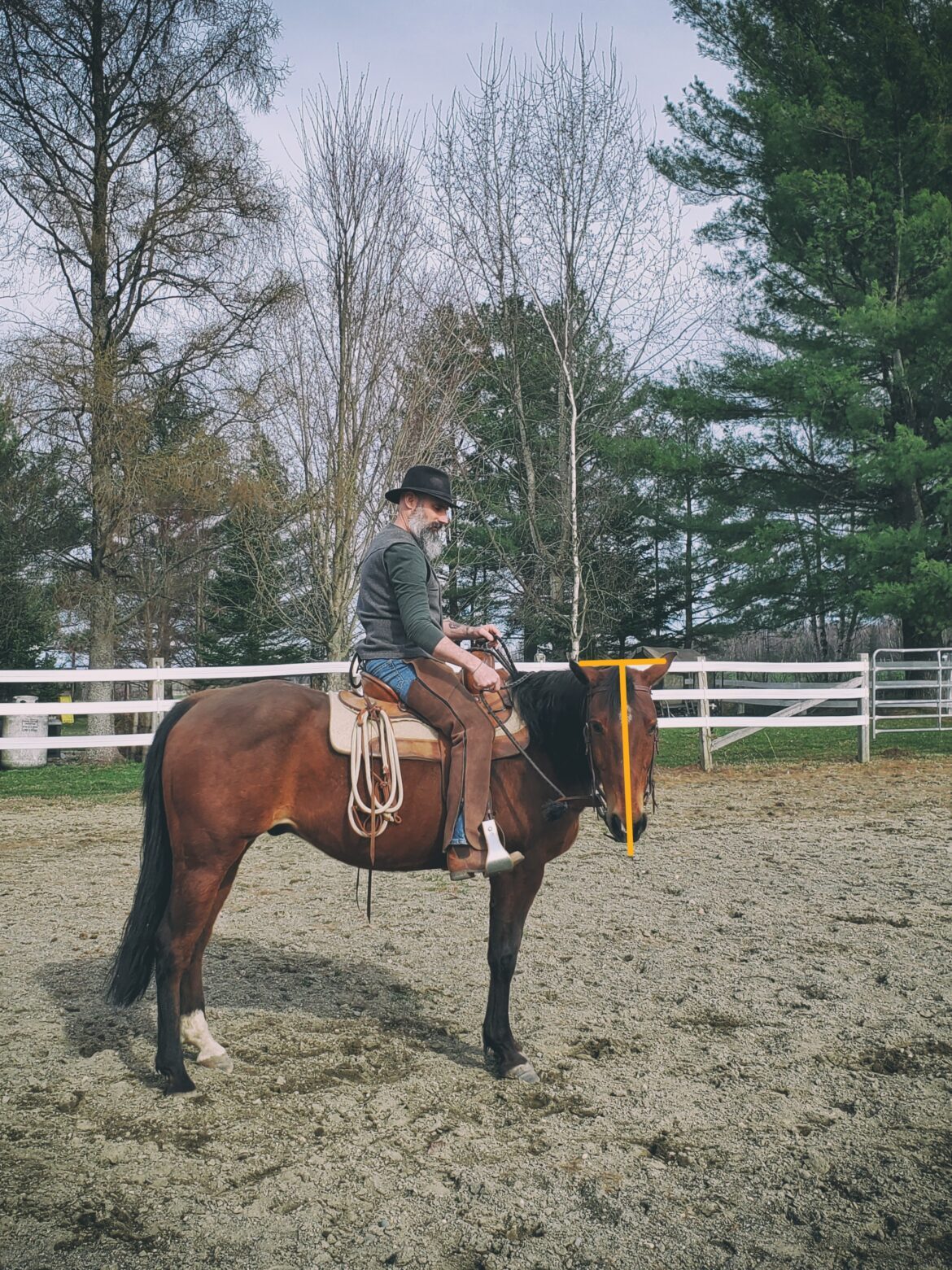 How To Mount A Horse? | Natural Horsemanship